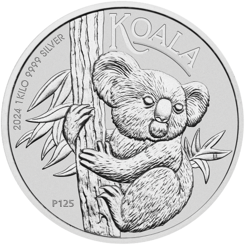 koala   australia