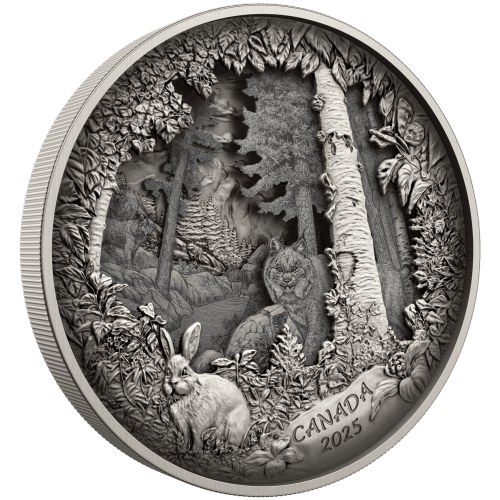2025 Predator or Prey in Shadow Box Silver Coin | Royal Canadian Mint ...
