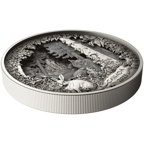 2025 Predator or Prey in Shadow Box Silver Coin | Royal Canadian Mint ...