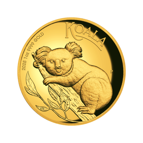 gold koala