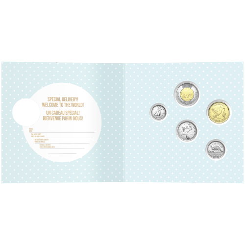Set of 5 x 2026 Newborn Baby Gift Coins | Royal Canadian Mint | Silver ...
