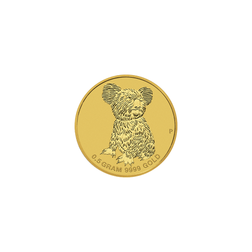 gold koala